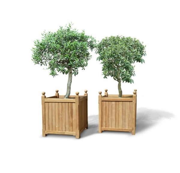 Top Rated Premium Quality | Teak Planter